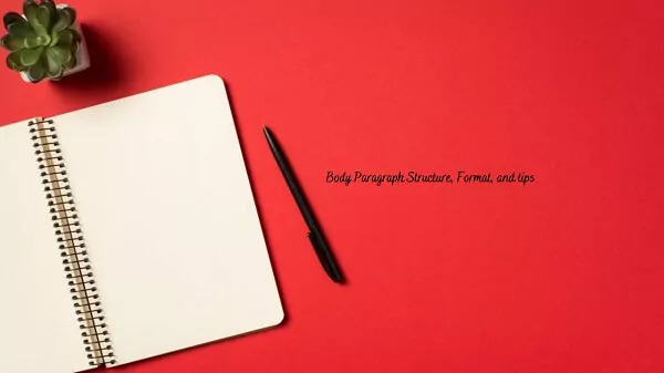 4 Essential Parts Of A Body Paragraph For An Essay Or Paper